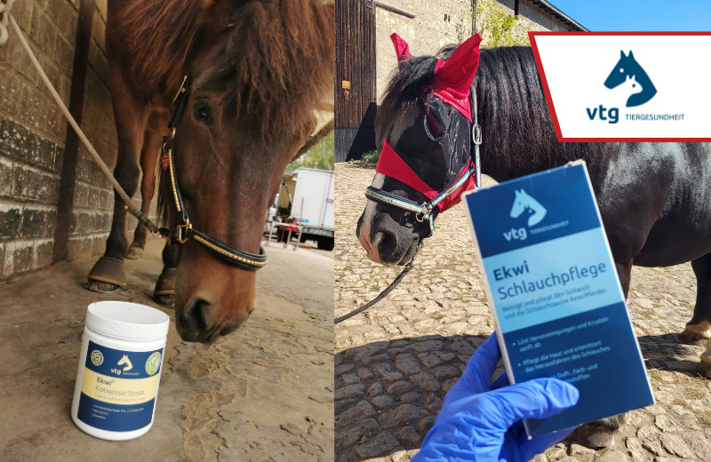 Erfahrungen mit der Ekwi Schlauchpflege & dem Ekwi KotwasserStopp von ...