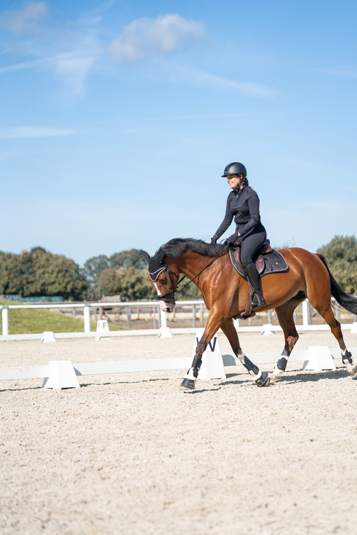 Erfahrungen mit dem Reitstiefel "Contact" von Ego7 - ehorses Magazin