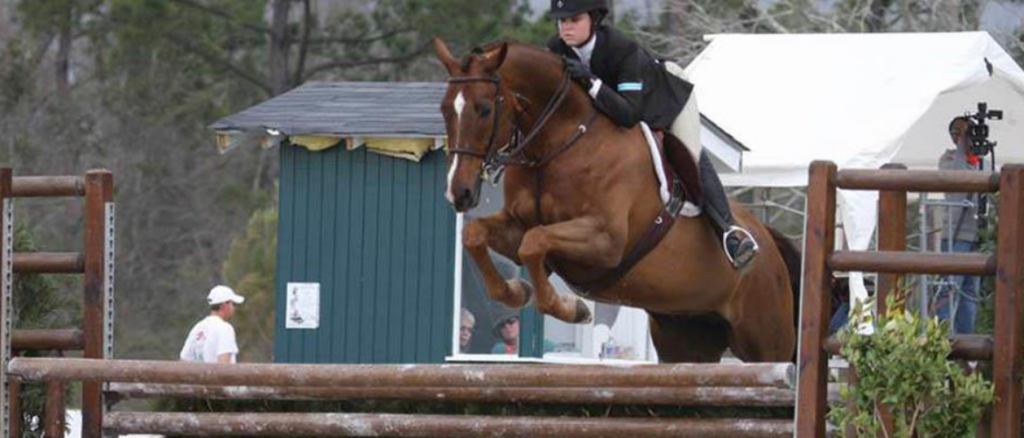 Springreiten in Klassen I ehorses Magazin