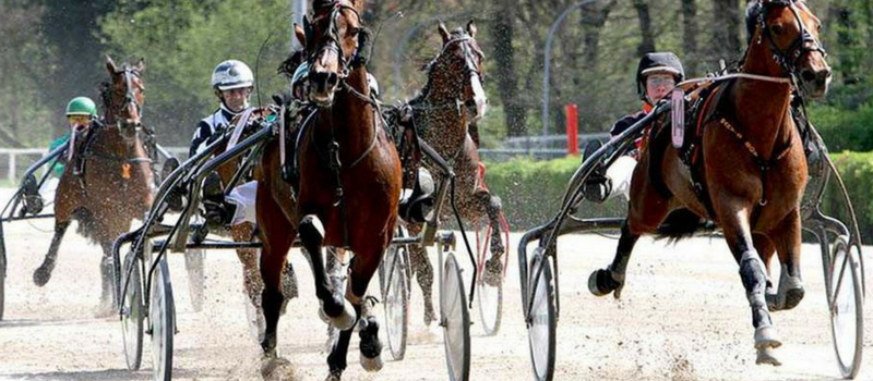 Trabrennen als Reitsportdisziplin im Portrait | ehorses.de