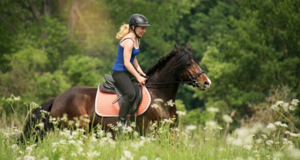 Das Reitturnier als Event: So stimmt der Style auf dem Turnierplatz