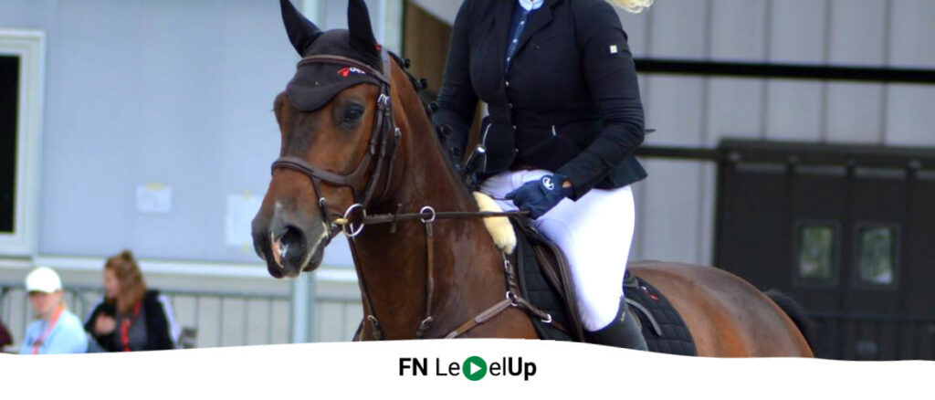 Springreiten in Klassen I ehorses Magazin
