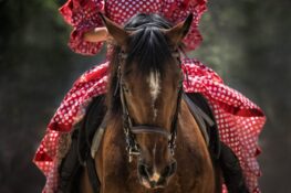 Hund & Pferd – Messe Dortmund: Tickets & Programm