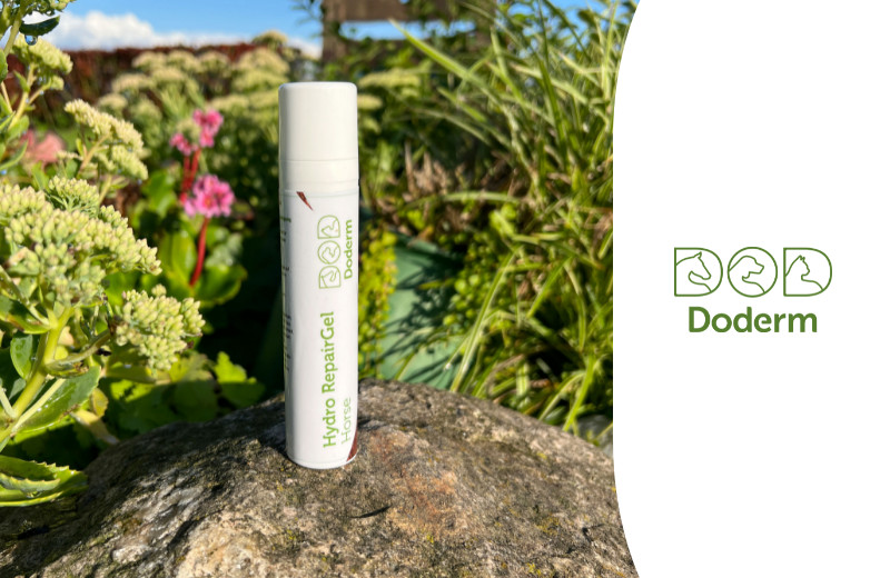 Erfahrungen mit dem Hydro RepairGel von DoDerm - ehorses Magazin