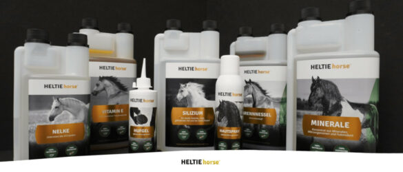 Obst & Gemüse für Pferde: Tabelle zeigt, was erlaubt ist | ehorses Magazin