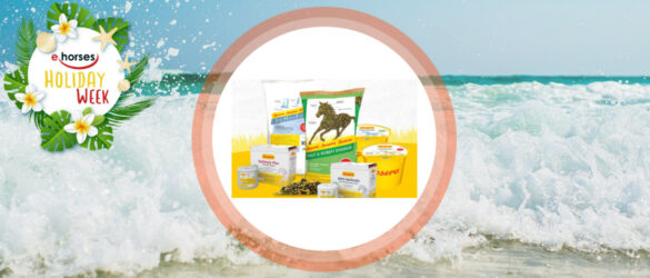 ehorses Holidayweek Tag 3 - ehorses Magazin