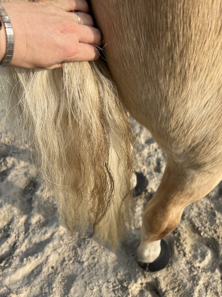 Erfahrungen mit der Ekwi Schlauchpflege & dem Ekwi KotwasserStopp von ...