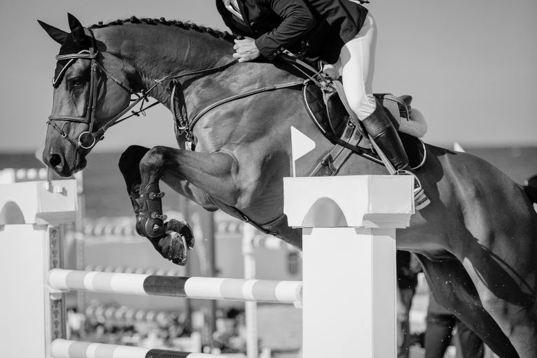 NEWS | Springreiter Karl-Heinz Markus mit 70 Jahren verstorben – Ein ...