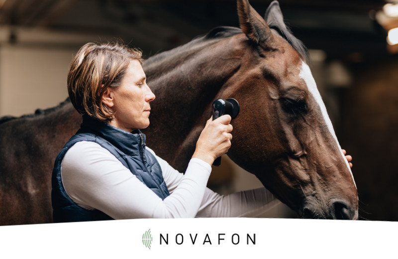 Erfahrungen mit dem NOVAVON power 2 - ehorses Magazin