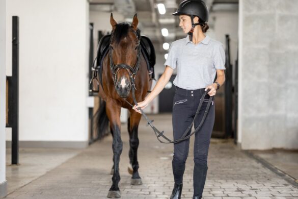 Das schnellste Pferd der Welt: Drip Brew | ehorses Magazin