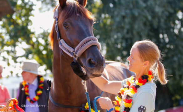 Halla: Leben & Erfolge des Springpferds | ehorses Magazin