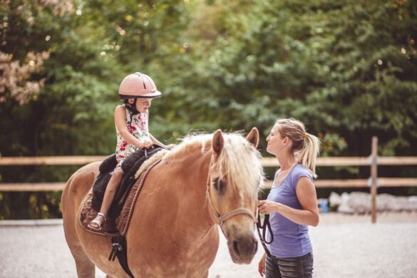 Trainerschein Reiten: Alle Infos im Überblick I ehorses Magazin