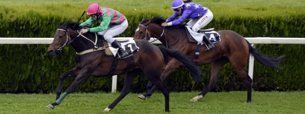 Das Reitturnier als Event: So stimmt der Style auf dem Turnierplatz