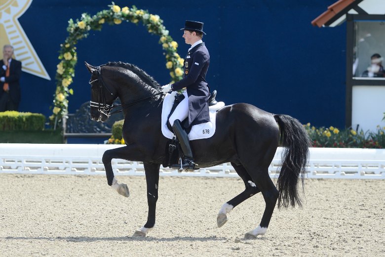 Totilas im Portrait: Wunderhengst & Top-Vererber | ehorses Magazin