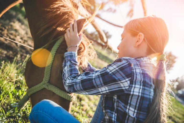 Kinder und Pferde: Umgang, Entwicklung & erste Schritte | ehorses.de ...