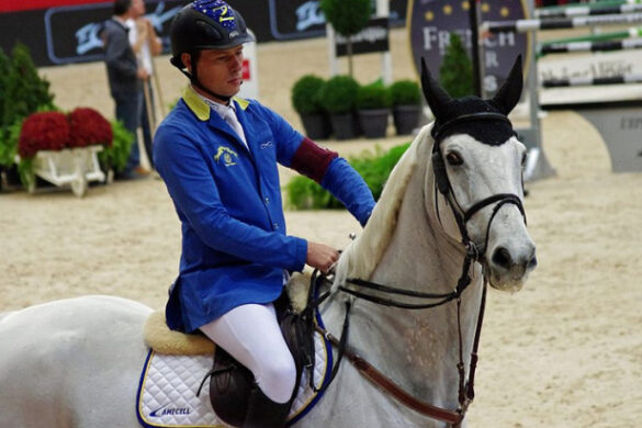 Halla: Leben & Erfolge des Springpferds | ehorses Magazin