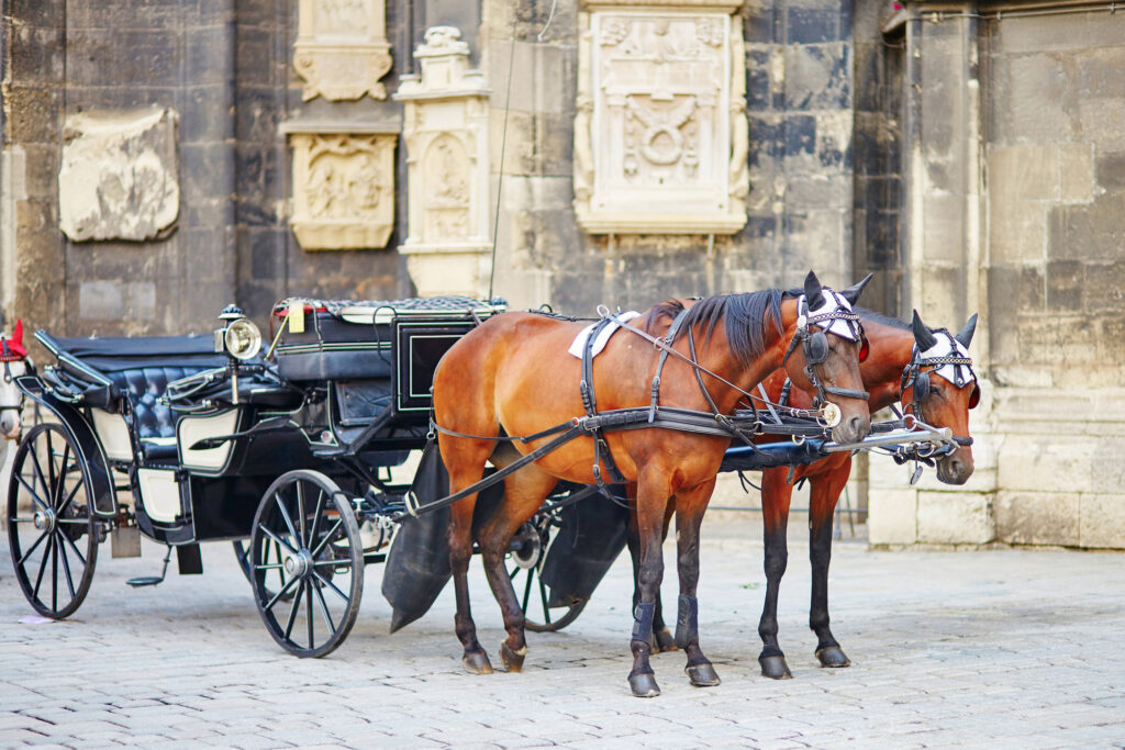 Trabrennen als Reitsportdisziplin im Portrait | ehorses.de