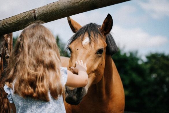 Das schnellste Pferd der Welt: Drip Brew | ehorses Magazin
