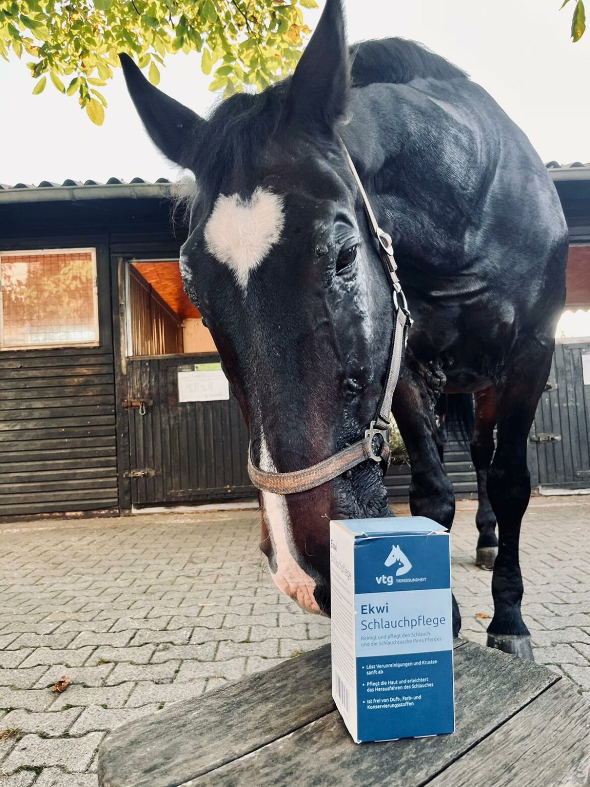 Erfahrungen mit der Ekwi Schlauchpflege & dem Ekwi KotwasserStopp von ...