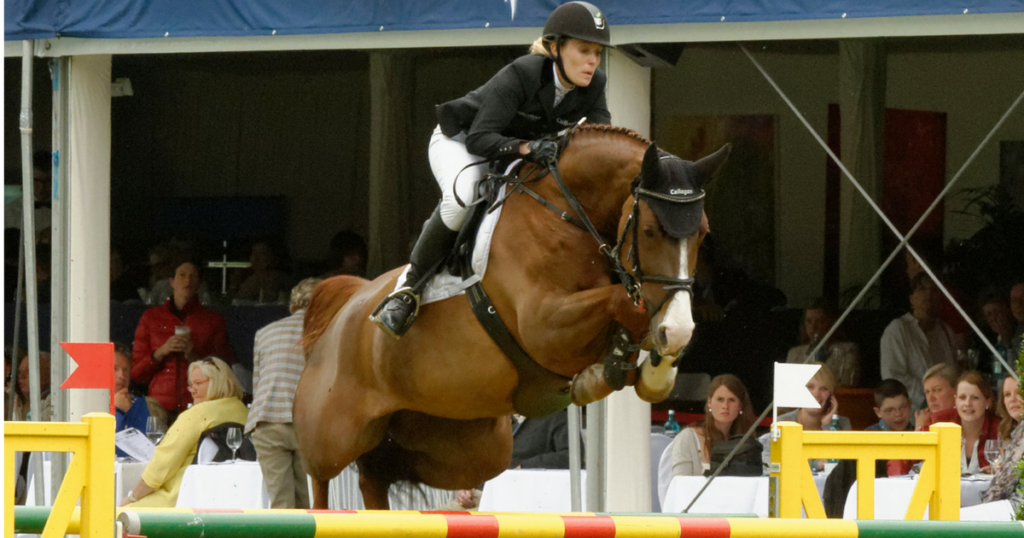 Halla: Leben & Erfolge des Springpferds | ehorses Magazin