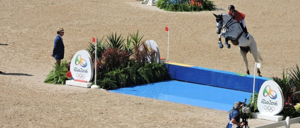 Halla: Leben & Erfolge des Springpferds | ehorses Magazin