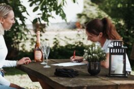 Senner Pferd im Rasseportrait