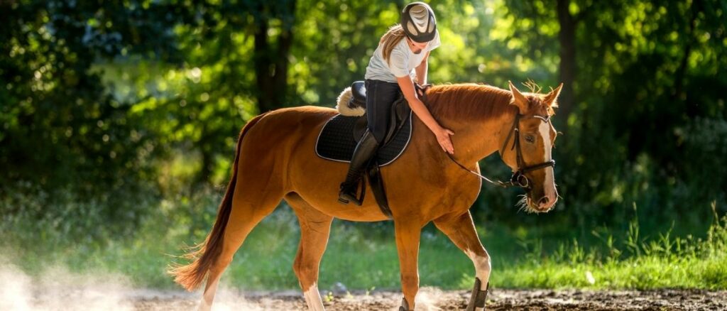 Kissing Spines beim Pferd - Was tun? | ehorses Magazin