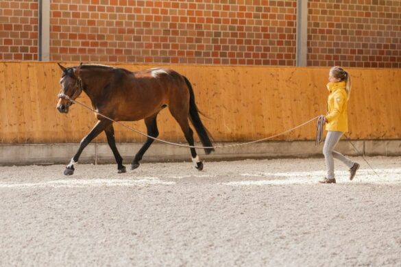 Reiten mit Sporen - ja oder nein? | ehorses Magazin