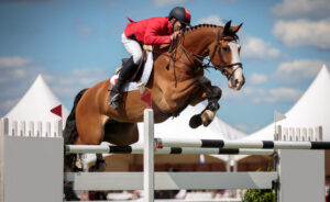 Springreiten in Klassen I ehorses Magazin