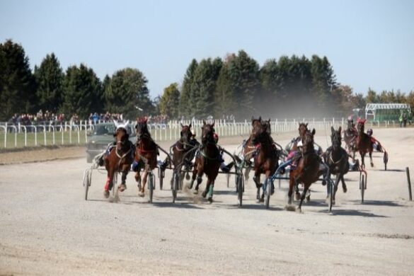 Trabrennen als Reitsportdisziplin im Portrait | ehorses.de