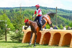 Trainerschein Reiten: Alle Infos im Überblick I ehorses Magazin