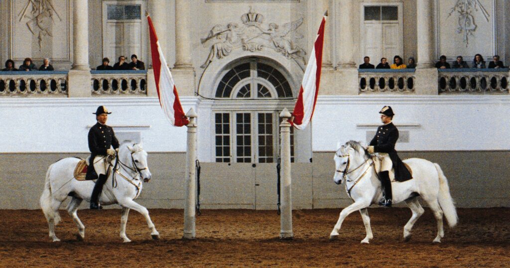 Westernreiten über die Reitdisziplin | ehorses Magazin