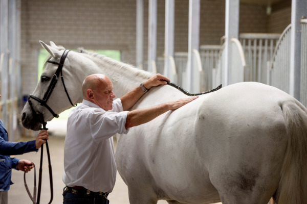 Peter Menet, Autor bei ehorses Magazin